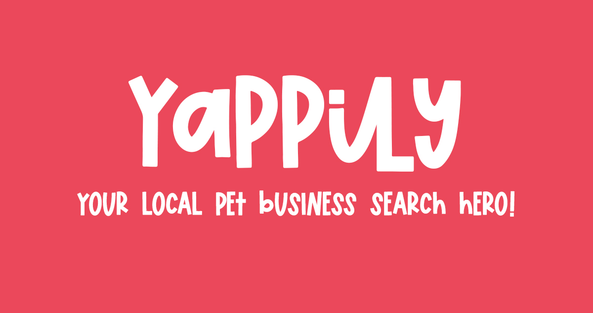 Spaniel Rescue UK | Spaniel Aid