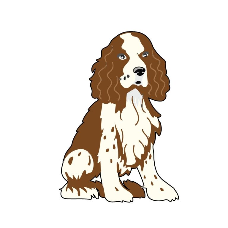 Spaniel Rescue UK | Spaniel Aid