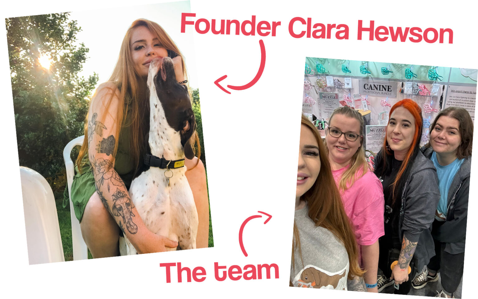 Pioneering a new era of dog safety and shattering muzzle myths with The ...