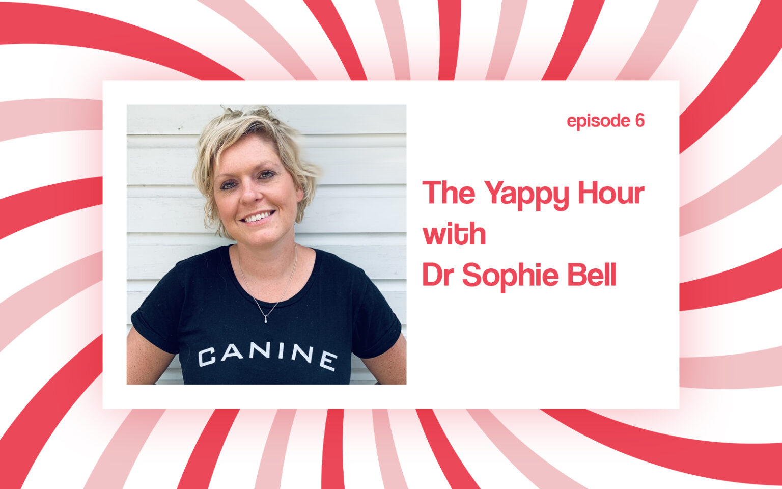 Ep 6. Dog first aid, vet visits & canine care with Dr. Sophie Bell from ...