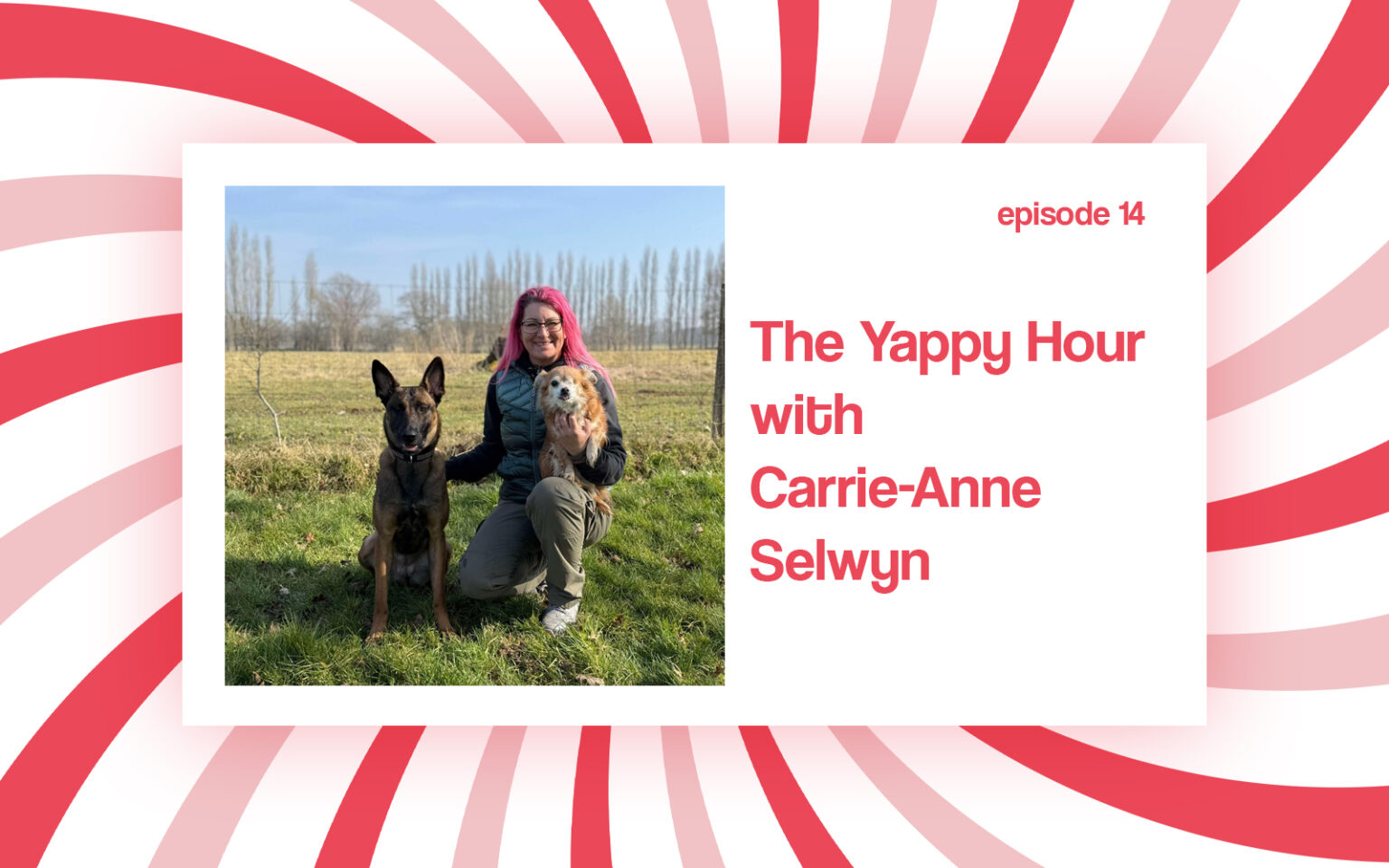 Ep 14. Canine Hoopers - the fun inclusive dog sport for all breeds and ...