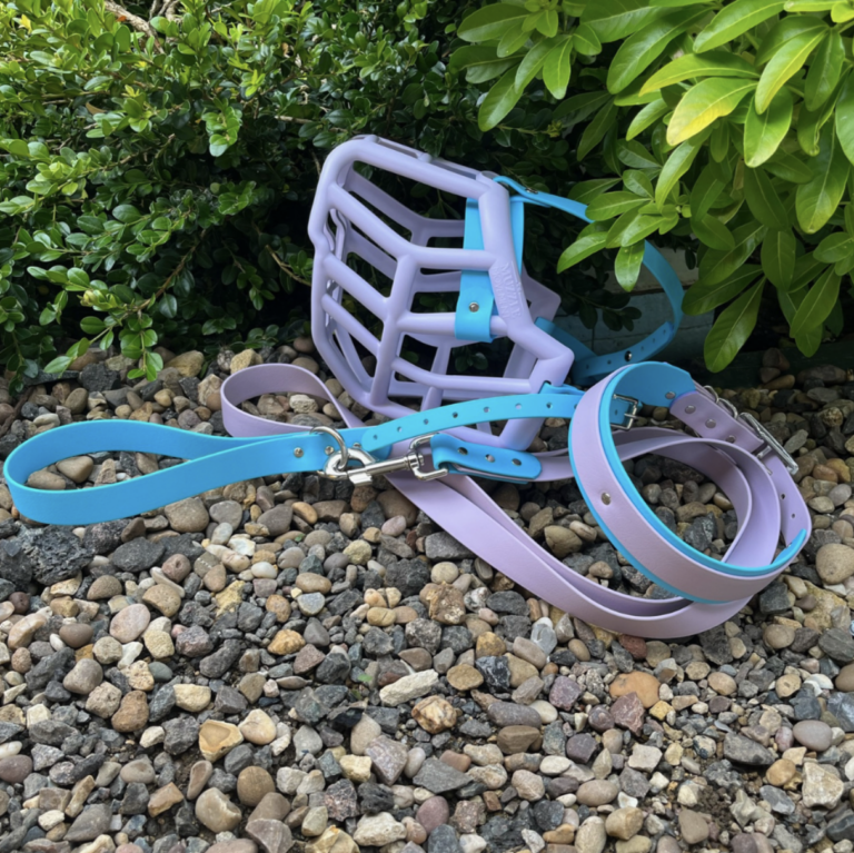 Understanding the XL Bully Ban: What You Need to Know from DEFRA | Yappily