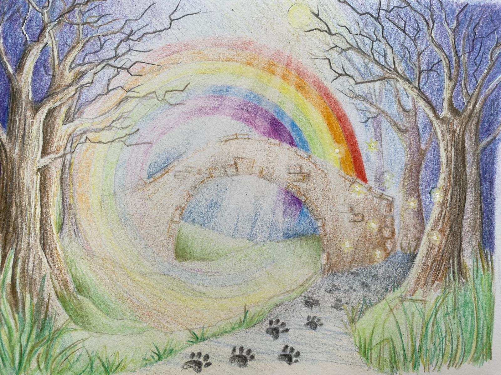 Pet Bereavement Counselling Manchester | Susan Wilding – Pet ...